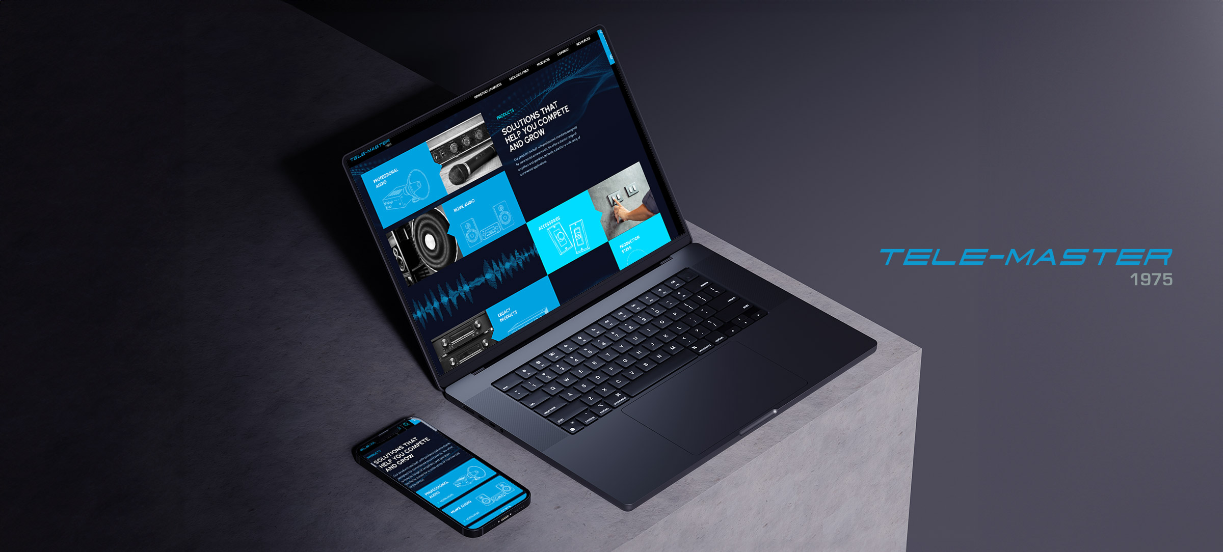 Tele-Master | Professional Audio Solutions & High-Quality Sound Systems ...